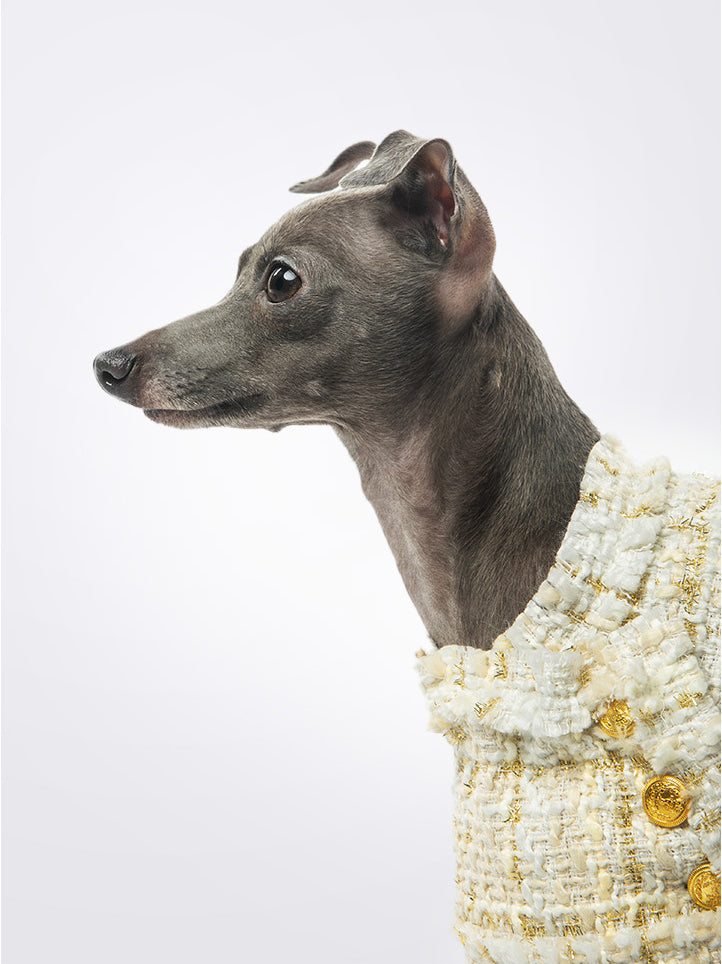 Chanel Style Dog Coat– TOOLOO